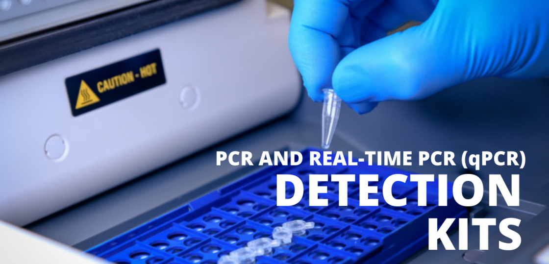 PCR AND REAL-TIME PCR (QPCR) DETECTION KITS | Chembio