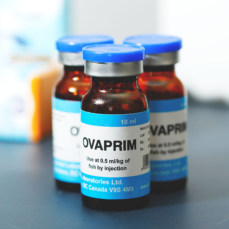 Hormons & Vitamins | Chembio Technology Sdn bhd | Supplier Malaysia