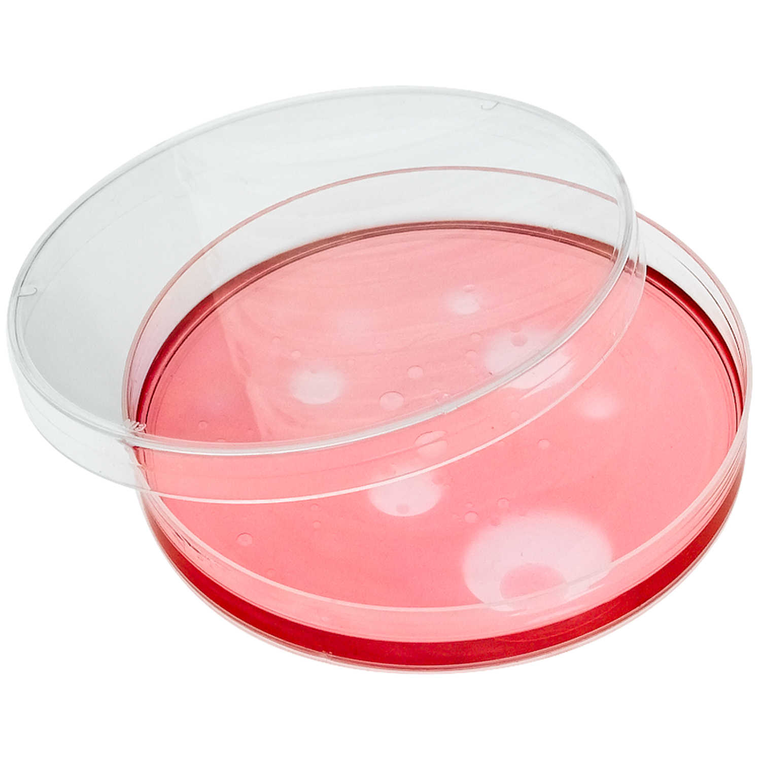 YOUR LABORATORY SOLUTION